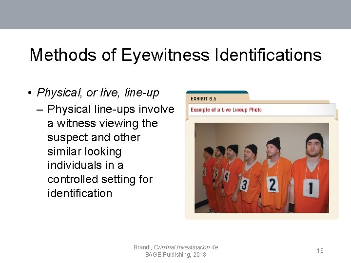 Chapter 6 Interviews and Eyewitness Identifications Objectives Identify