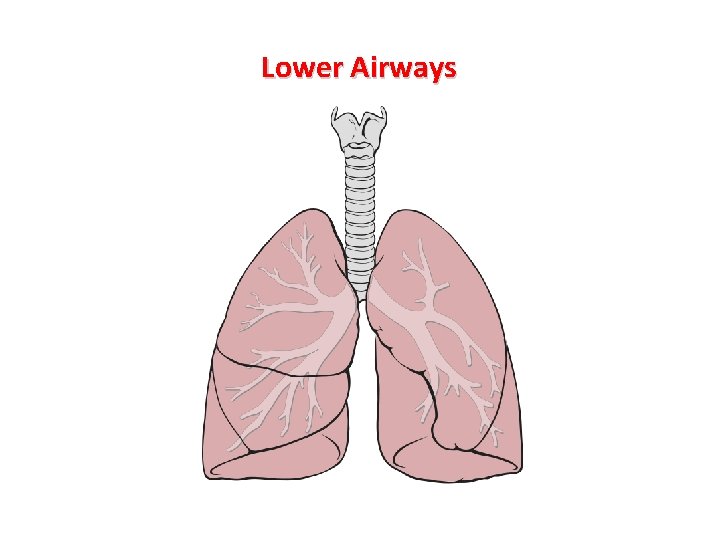 Masqueraders of Asthma Differential Diagnosis of Asthma in