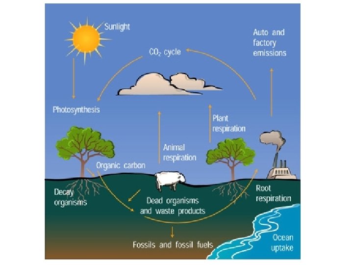 Cycles of Matter Introduction Matter is made up