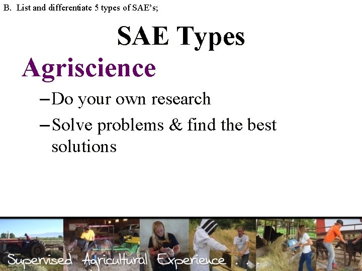 Supervised Agricultural Experience A B C D E