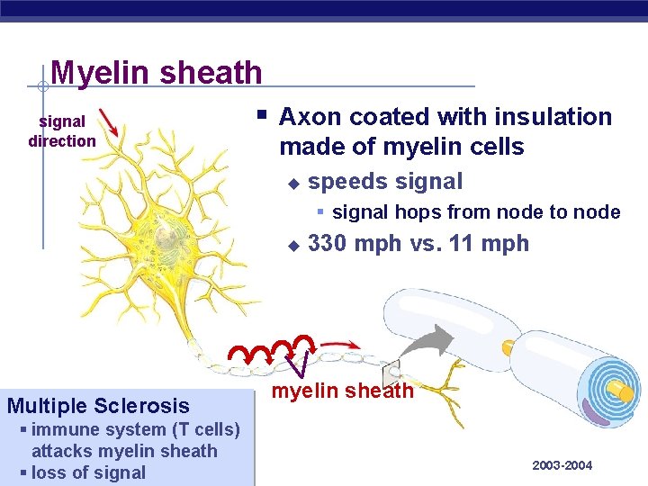Nervous System AP Biology 2003 2004 Why do