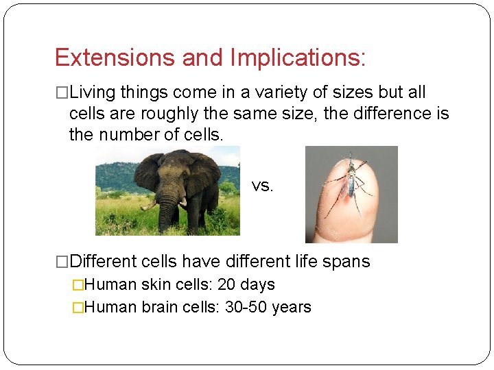 Cell Division Intro Biology 12 Review Cell Theory