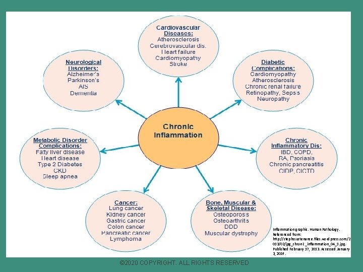 Integrative and Functional Medical Nutrition Therapy IFMNT 2020