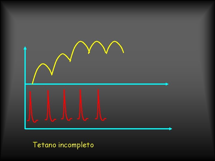 LE BASI MOLECOLARI DELLA CONTRAZIONE LE UNITA CONTRATTILI
