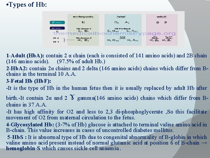 3 HEMOGLOBIN STRUCTURE FUNCTION IRON METABOLISM Prof Sherif