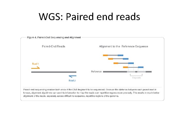 In Pha Del Integrative shotgun and proximityligation sequencing