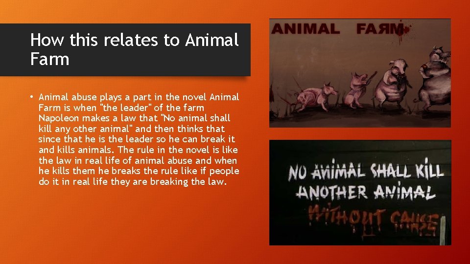 Animal Abuse By Ethan Palanca What is Animal