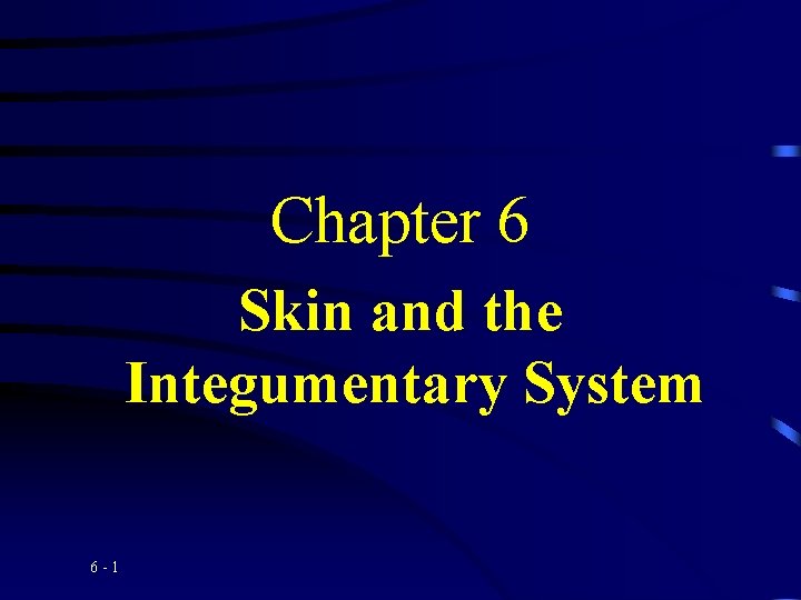 Chapter 6 Skin and the Integumentary System 6