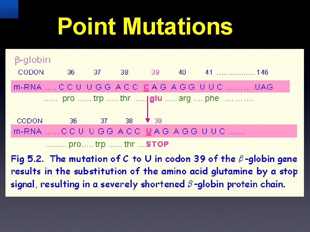 Materials 2 worksheets Turn in homework to blue