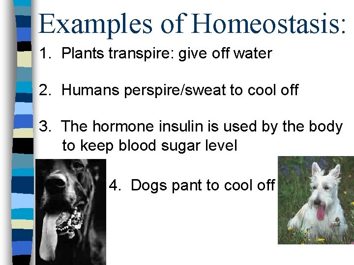 Studying Life Biology study of living organism Think