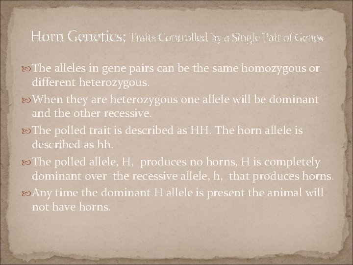 Bos Taurus Genetics Exploring Genotypes and Phenotypes of
