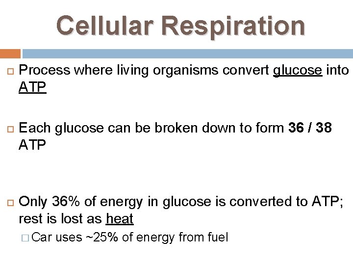 Cellular Respiration Process where living organisms convert glucose