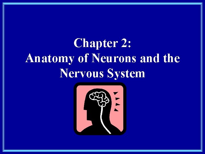 Chapter 2 Anatomy of Neurons and the Nervous