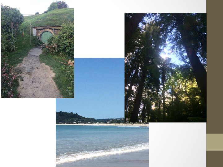 Orthopedic Surgery in New Zealand Isaiah Logan http