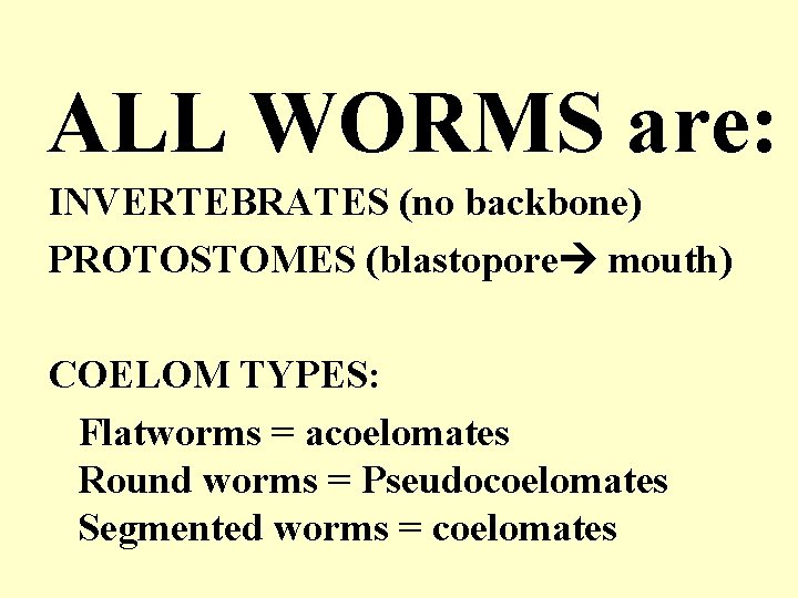 How are worms different ALL WORMS are INVERTEBRATES