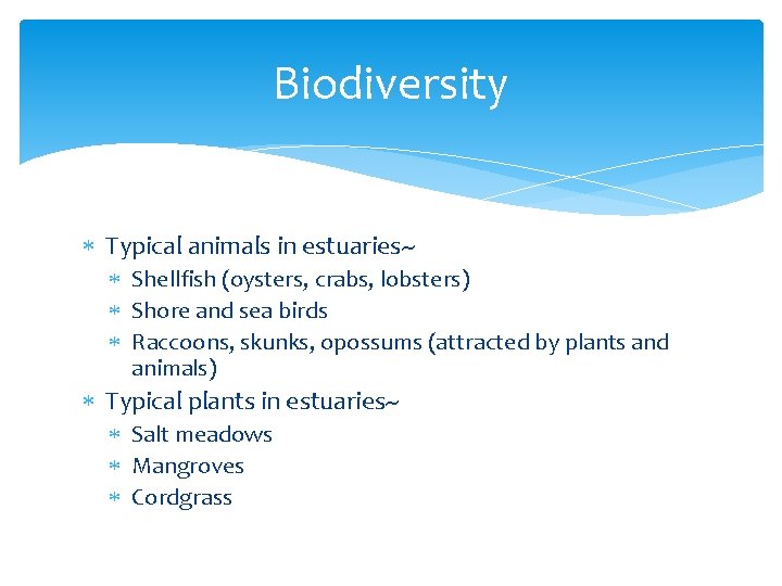 Estuaries Payton Collins December 1 st 2011 The