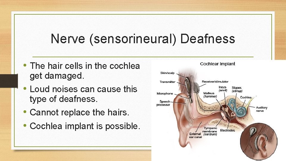 Bell Work How does transduction work for vision
