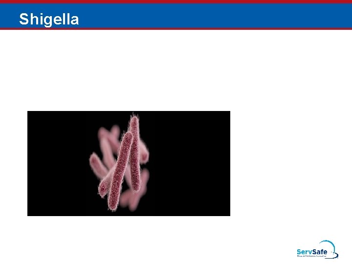 Objective 1 01 Understand causes of foodborne illness