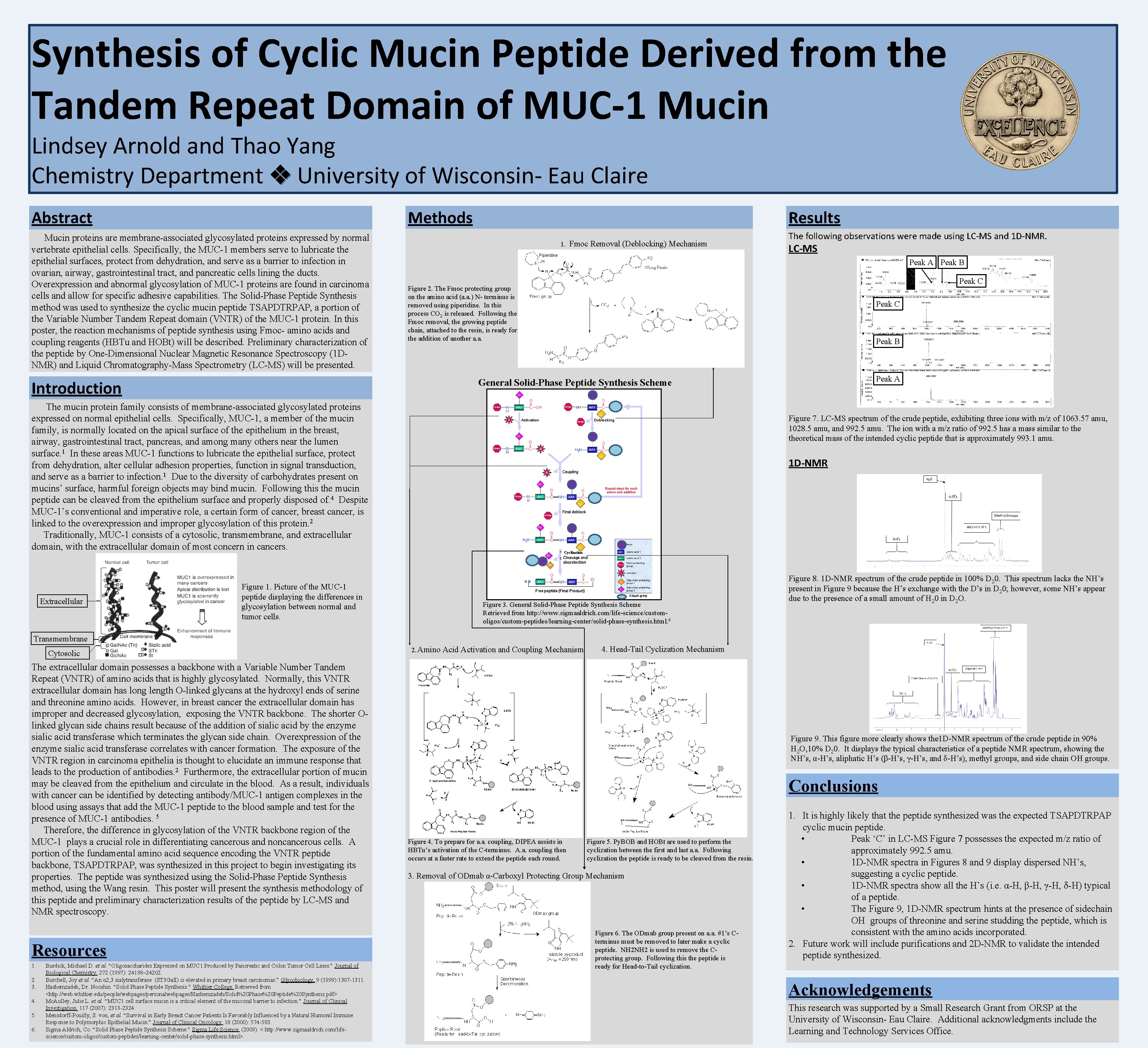 Synthesis of Cyclic Mucin Peptide Derived from the