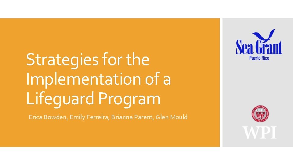 Strategies for the Implementation of a Lifeguard Program