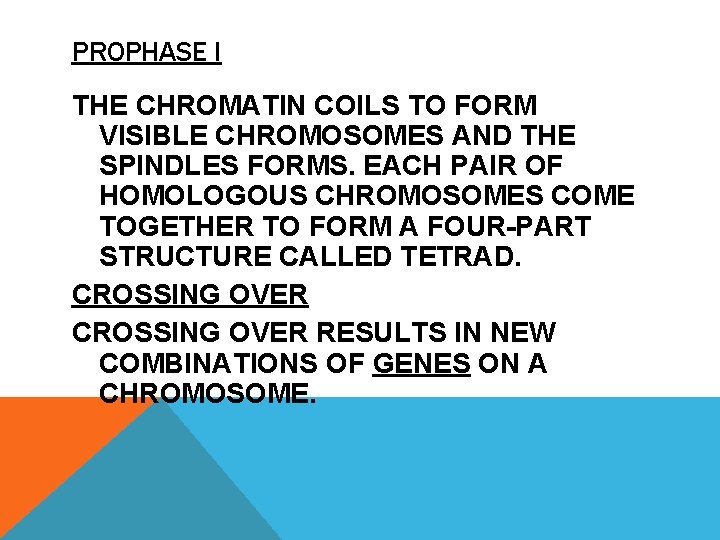 MITOSIS CELL CYCLE THE CELL CYCLE A TYPICAL
