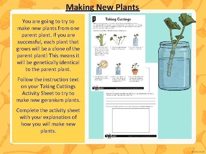 English through Science Living Things Plants Date Tuesday