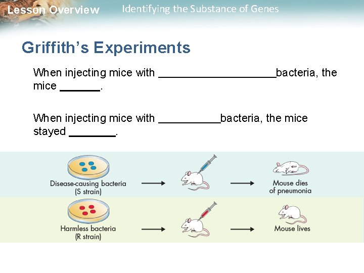 Lesson Overview 12 1 Identifying the Substance of