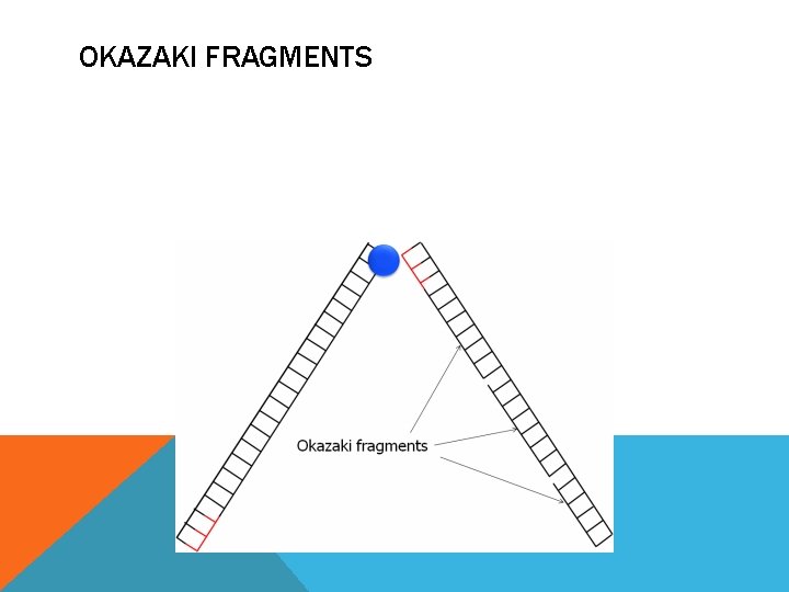 Lesson Overview 12 1 Identifying the Substance of