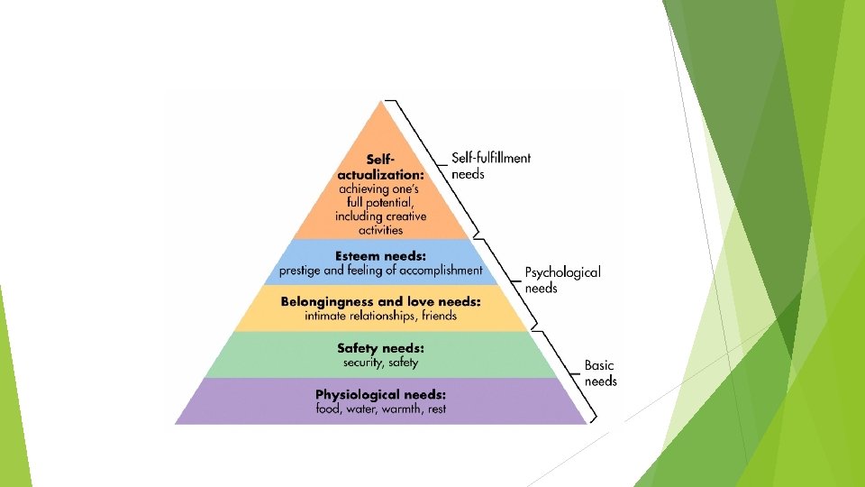 The Humanist Approach Overview of Maslows Hierarchy of