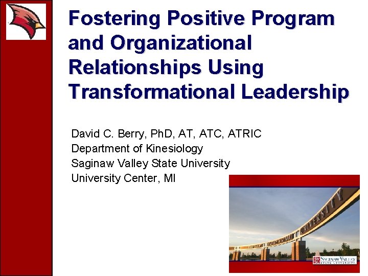 Fostering Positive Program and Organizational Relationships Using ...