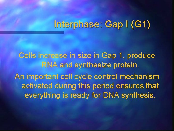 Cell Reproduction in Eukaryotic Cells by Angelique Sykes
