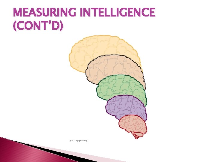 Module 13 Intelligence INTRODUCTION Psychometrics Subarea of psychology