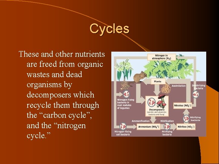 Ecosystems Types and Needs of Living Organisms Living