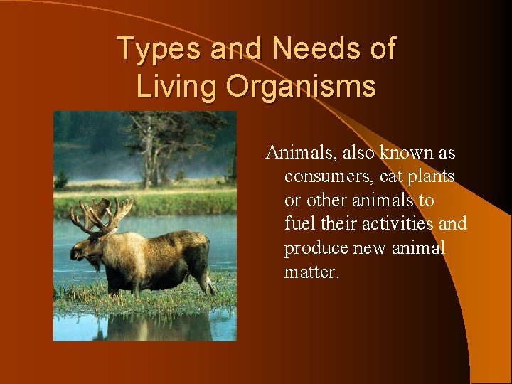 Ecosystems Types and Needs of Living Organisms Living