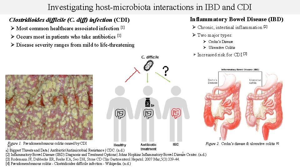 Investigating hostmicrobiota interactions in IBD and CDI James