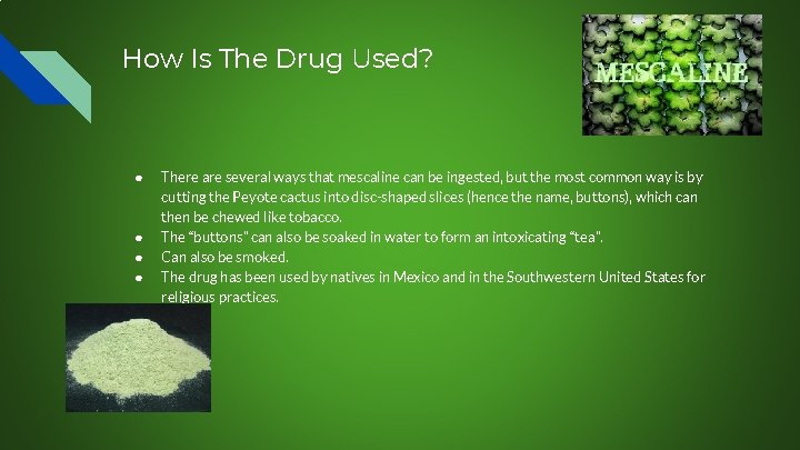 Mescaline Presentation by David Hilliker What Is Mescaline