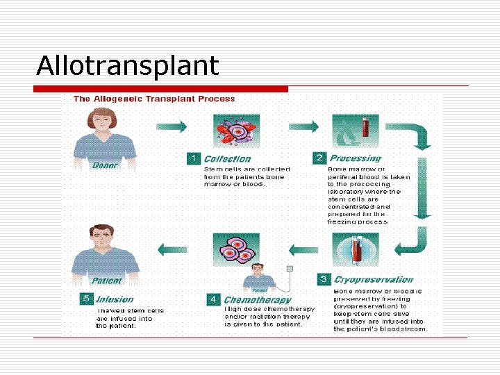 Bone Marrow Transplant in Oncology Source Pathology o