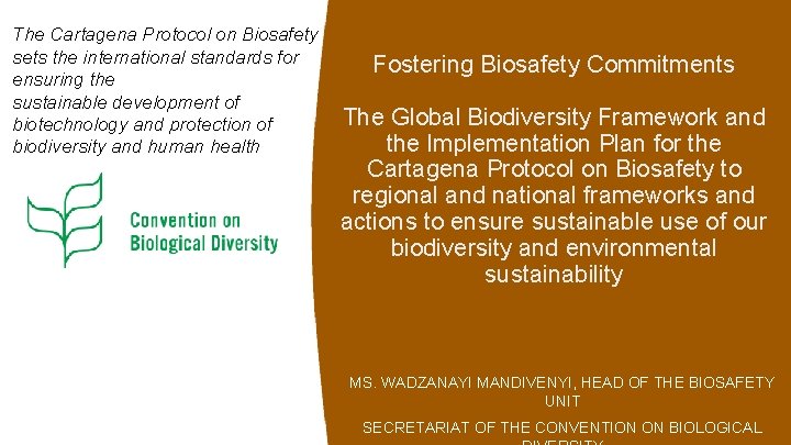 The Cartagena Protocol on Biosafety sets the international