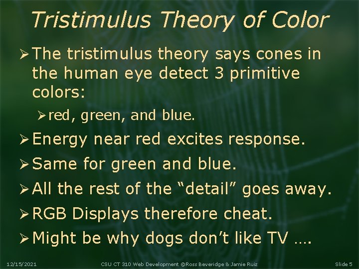 Lecture 22 Images Course logo spider web photograph