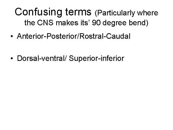 What is the Brain Billions of nerve cells