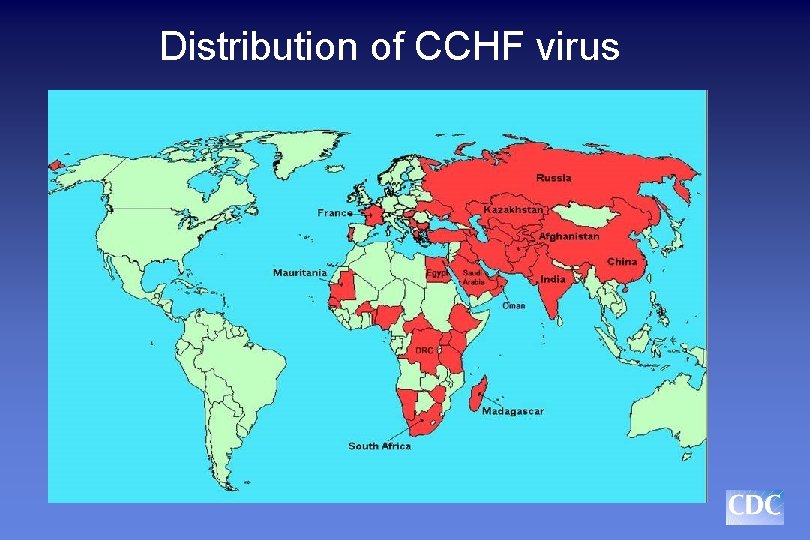 Viral Hemorrhagic Fevers Michael Bell MD Special Pathogens