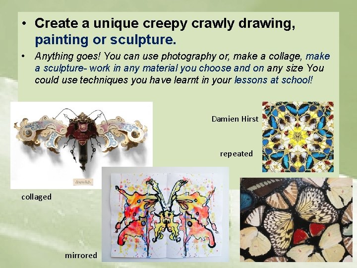 Home Learning Project Year 7 Bugs Life Investigating