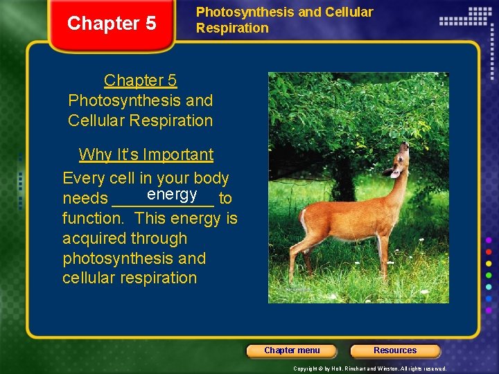 Chapter 5 Photosynthesis and Cellular Respiration Why Its