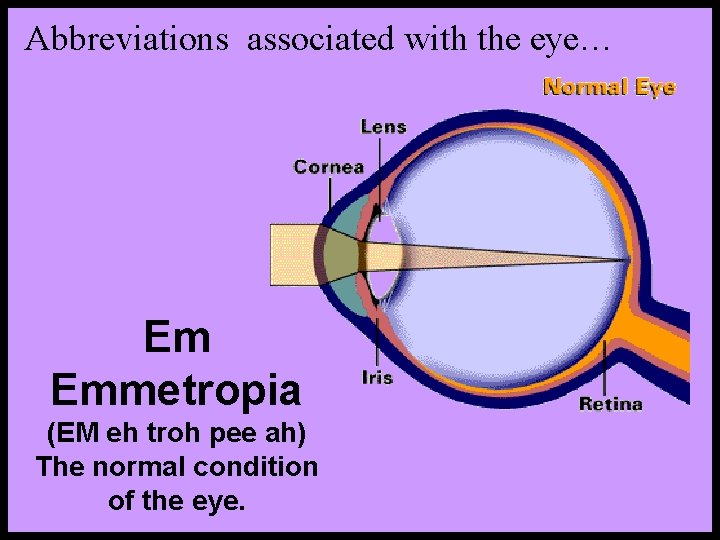 MEDICAL TERMINOLOGY PART 13 EYES EARS Constructed medical
