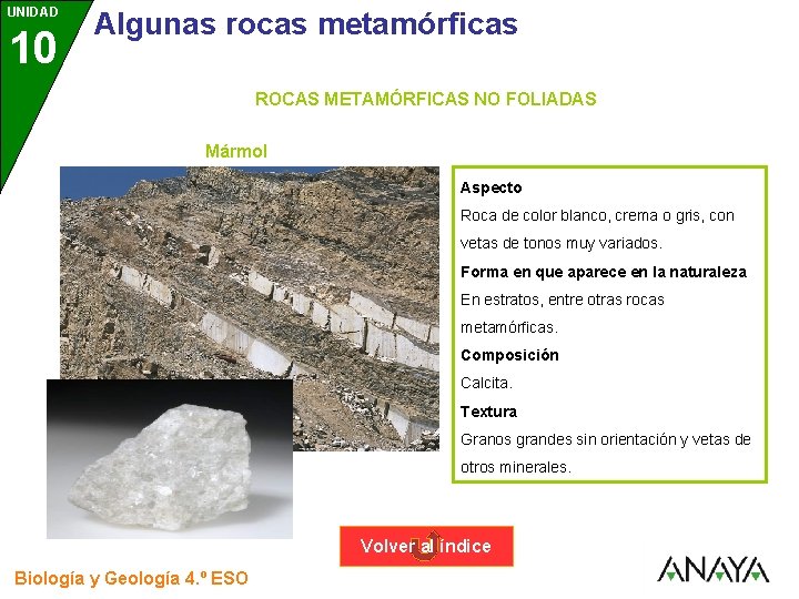 UNIDAD 10 Consecuencias de la dinmica litosfrica ALGUNAS