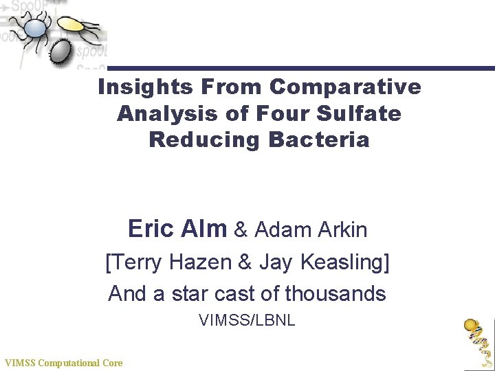 Insights From Comparative Analysis of Four Sulfate Reducing