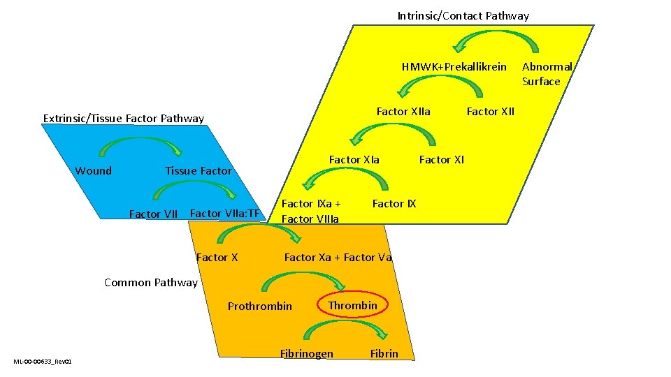 Global Coagulation and Thrombin Generation Assays Diapharma University