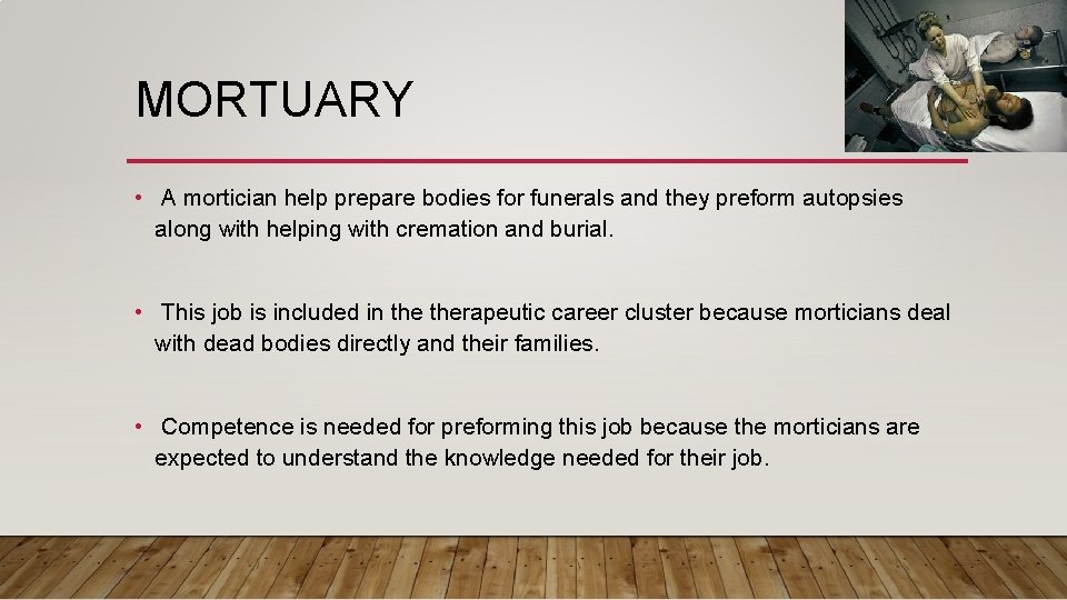 5 THERAPEUTIC CAREERS GROUP PROJECT HANNAH BAILEY JACE