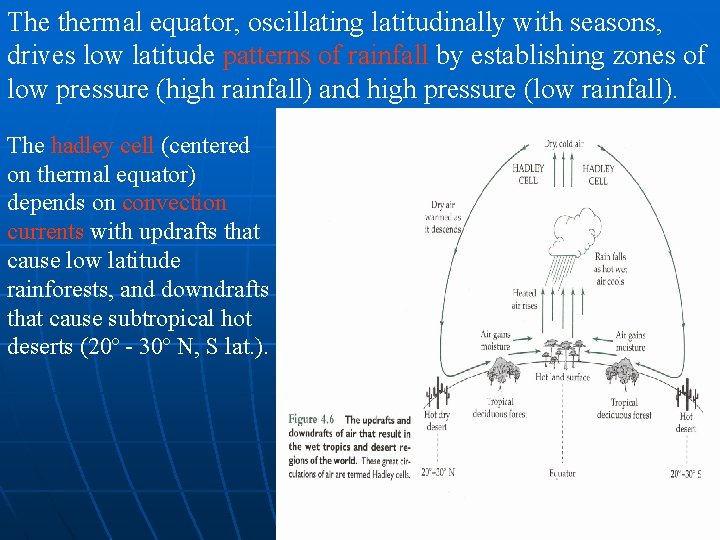 BIOL 4120 Principles of Ecology Lecture 3 Physical