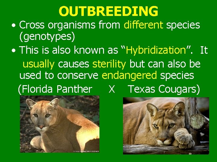 BIOTECHNOLOGY What is Biotechnology the use of living